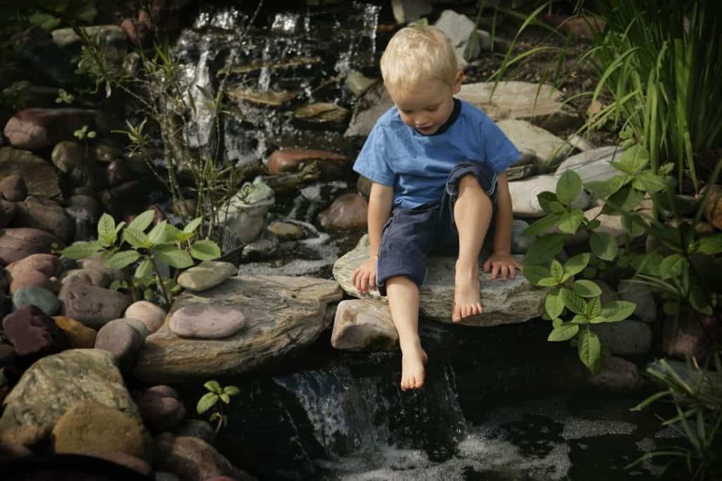8 Peaceful Water Garden Ideas For Your Backyard