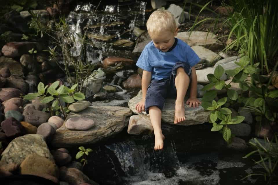 8 Peaceful Water Garden Ideas For Your Backyard