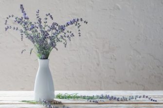 Different Types Of Lavender {With Pictures} And Fun Ways To Use Them