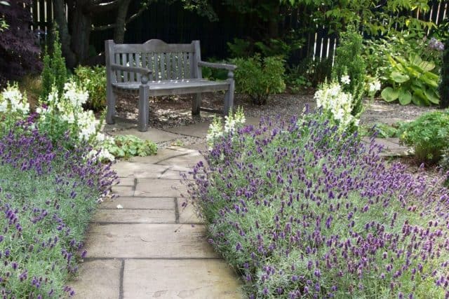 7 Scented Garden Ideas That Engage The Senses