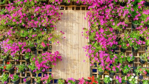 11 Innovative Vertical Garden Ideas For Small (and Large) Spaces