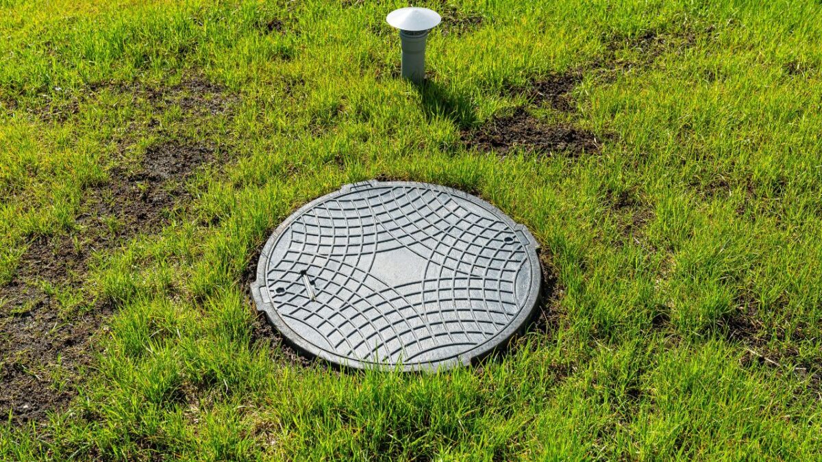 6 Landscaping Ideas Around Septic Tank Areas