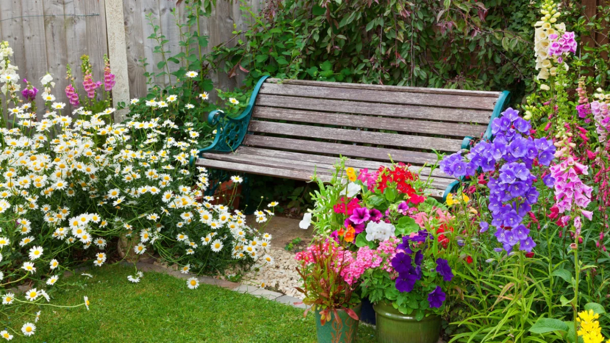 Creative Water Conservation Landscaping Ideas For A Greener Yard