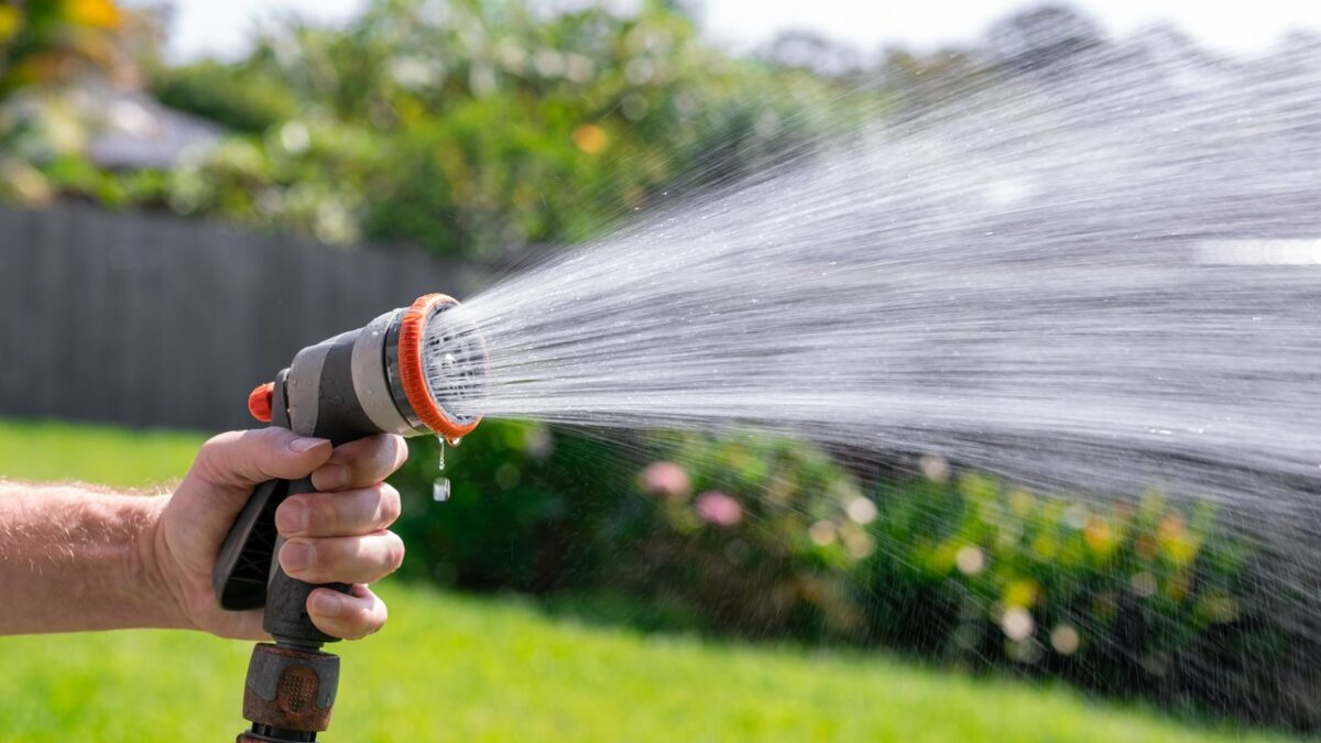 Sprucing Up Your Yard: Helpful Ideas For Landscaping Under Spruce Trees