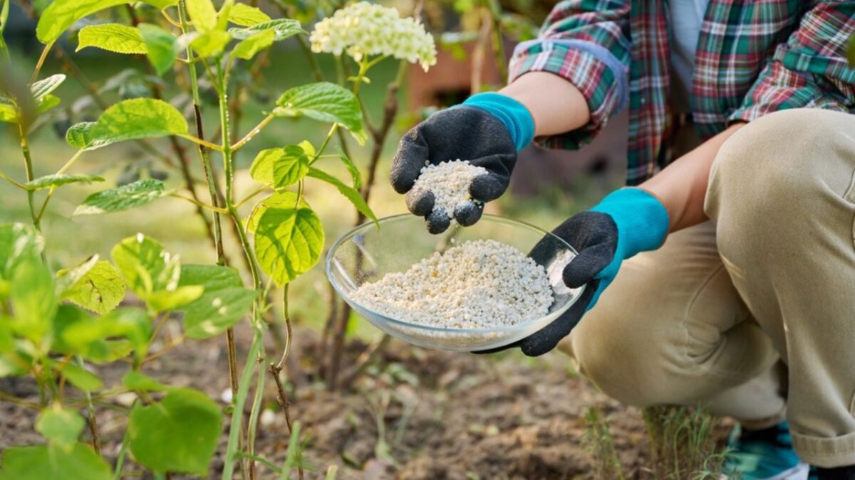 20 Things To Put In Your Gardening Journal To Become A Master