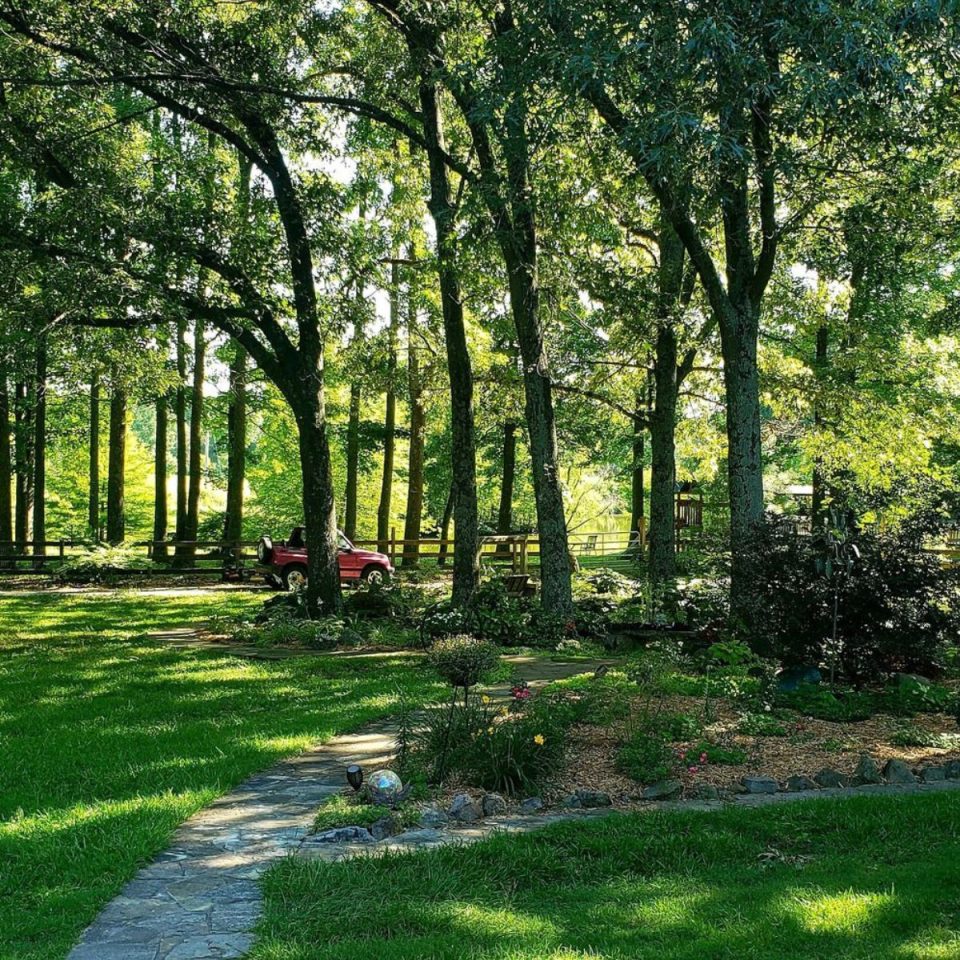 Cathy's Beautiful Shade Garden