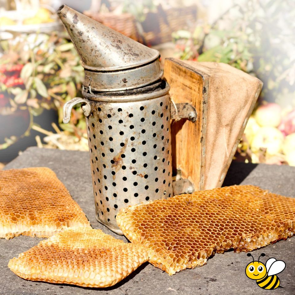 Quick Introduction To Beekeeping