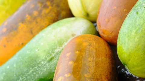 What To Do With Overripe Cucumbers - 5 Delicious Ideas