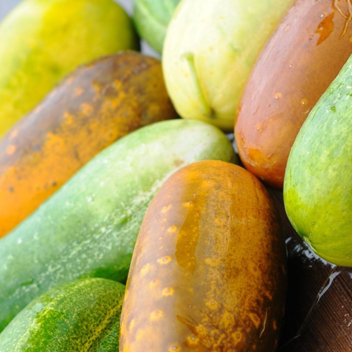 What To Do With Overripe Cucumbers - 5 Delicious Ideas