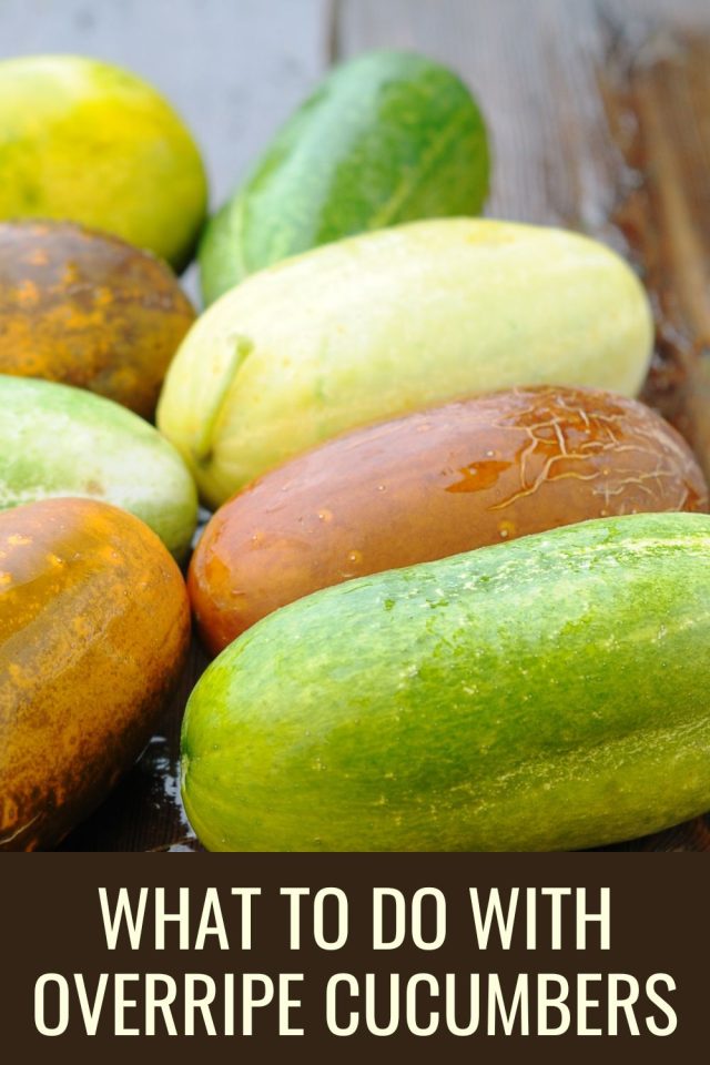 What To Do With Overripe Cucumbers - 5 Delicious Ideas