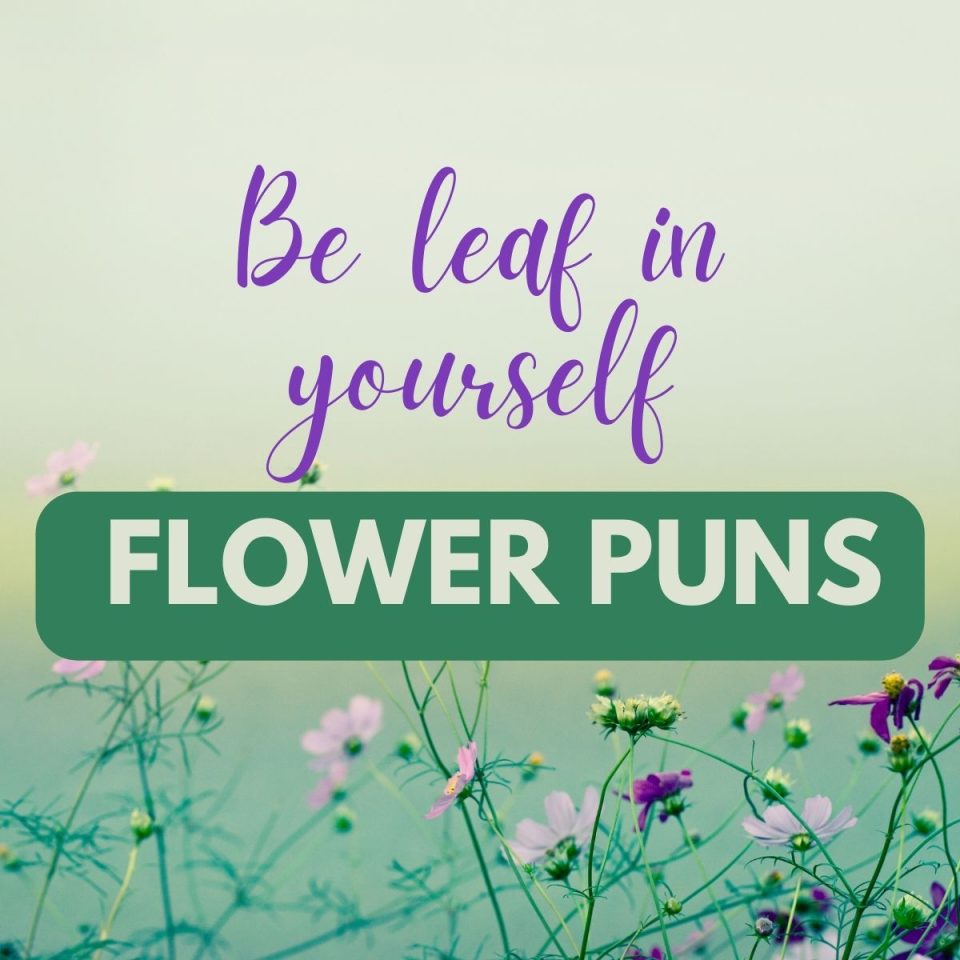 54 Great Flower Puns To Share With Your Buds