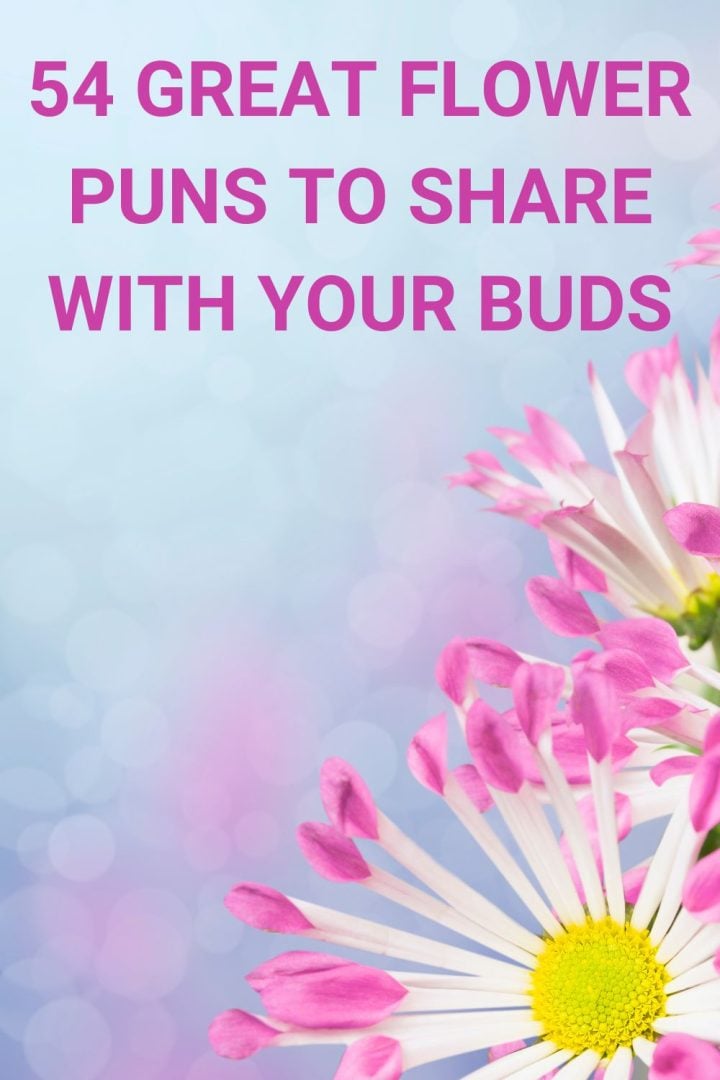 54 Great Flower Puns To Share With Your Buds