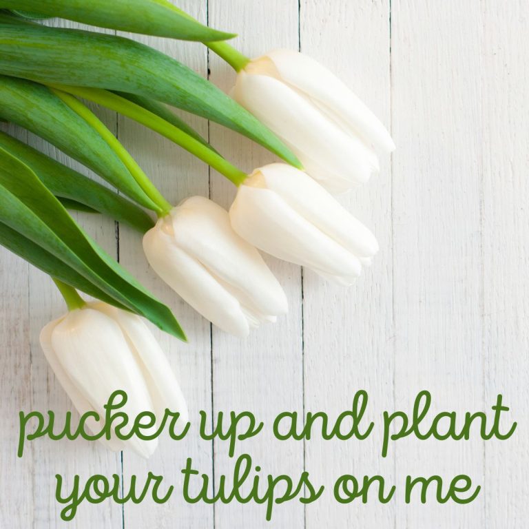 54 Great Flower Puns To Share With Your Buds