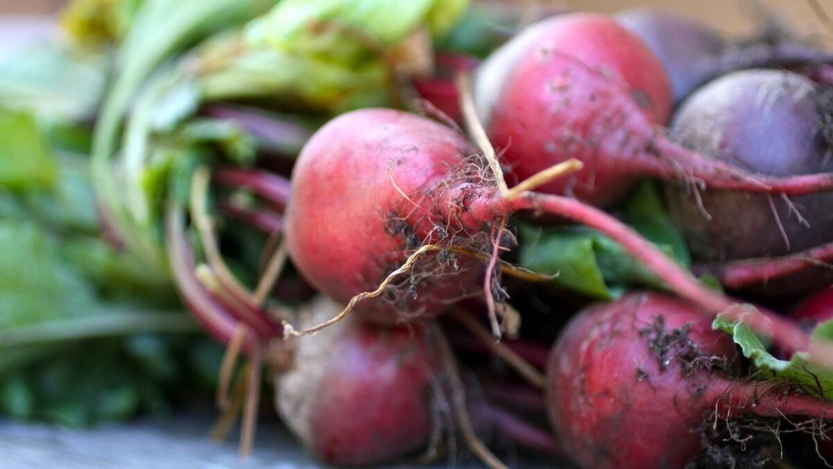 Is Beet A Vegetable? Plus, All It's Uses And Health Benefits