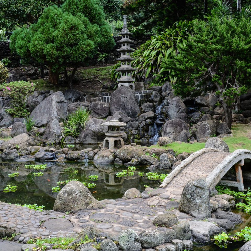 How To Create A Rock Garden For A Beautiful Landscape