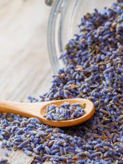 7 Best Culinary Lavender Varieties To Grow (And What To Do With Them)