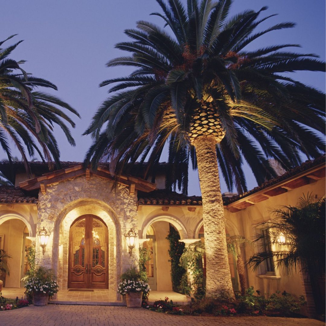 3 Best Ideas For Landscaping With Palm Trees