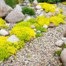 How To Create A Rock Garden For A Beautiful Landscape