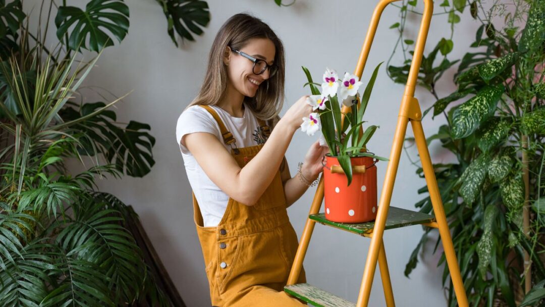 18 Houseplants That Set A Healthy Vibe At Home