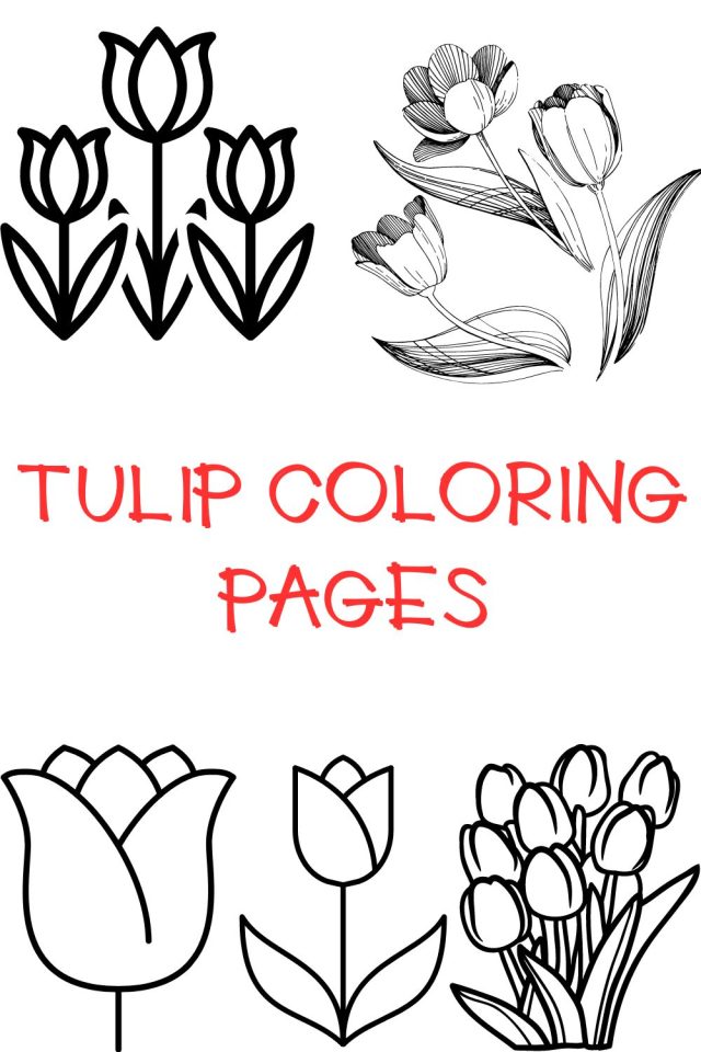 Free Tulip Coloring Pages To Celebrate Spring