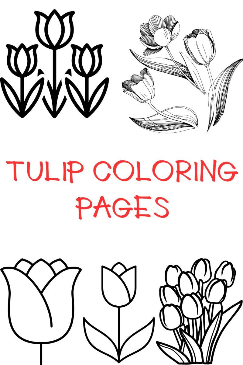 Free Tulip Coloring Pages To Celebrate Spring