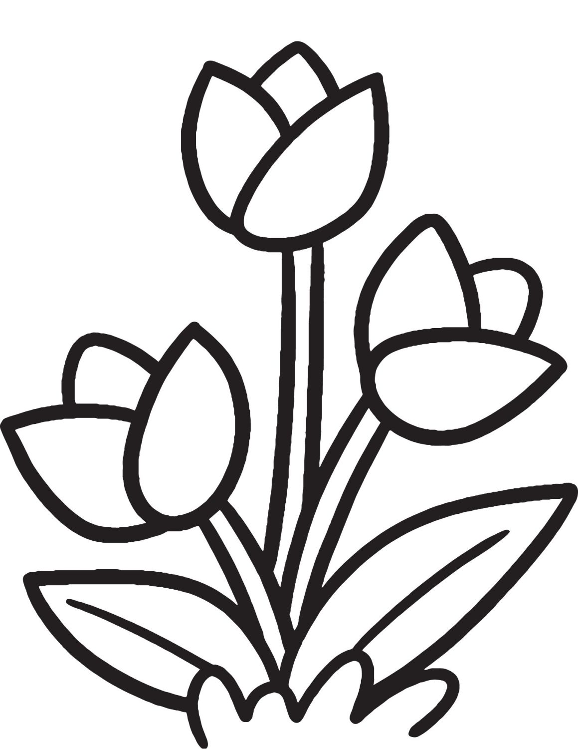Free Tulip Coloring Pages To Celebrate Spring Free Tulip Coloring Pages To Celebrate Spring