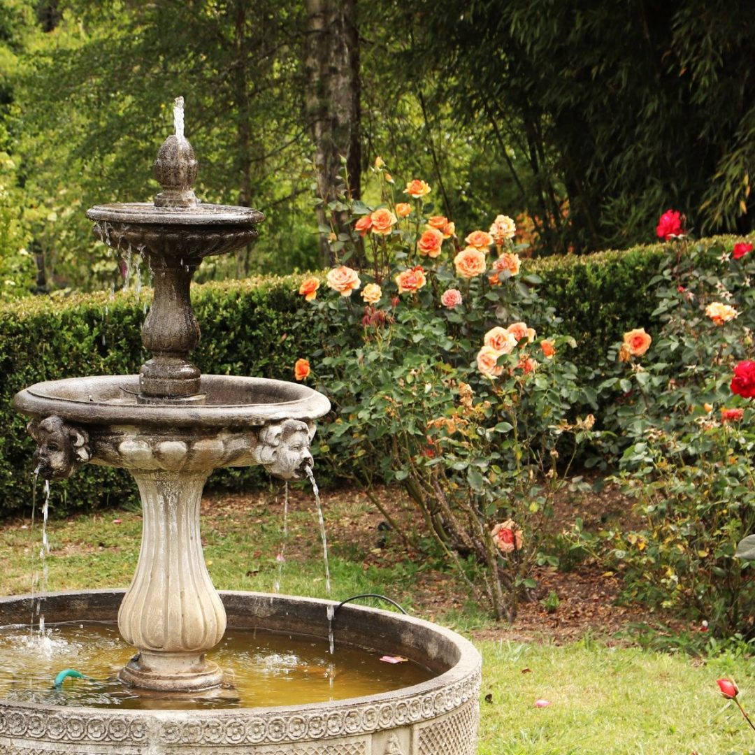 How To Create A Spectacular Rose Flower Garden