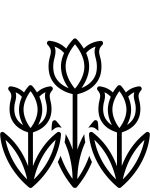 Free Tulip Coloring Pages To Celebrate Spring