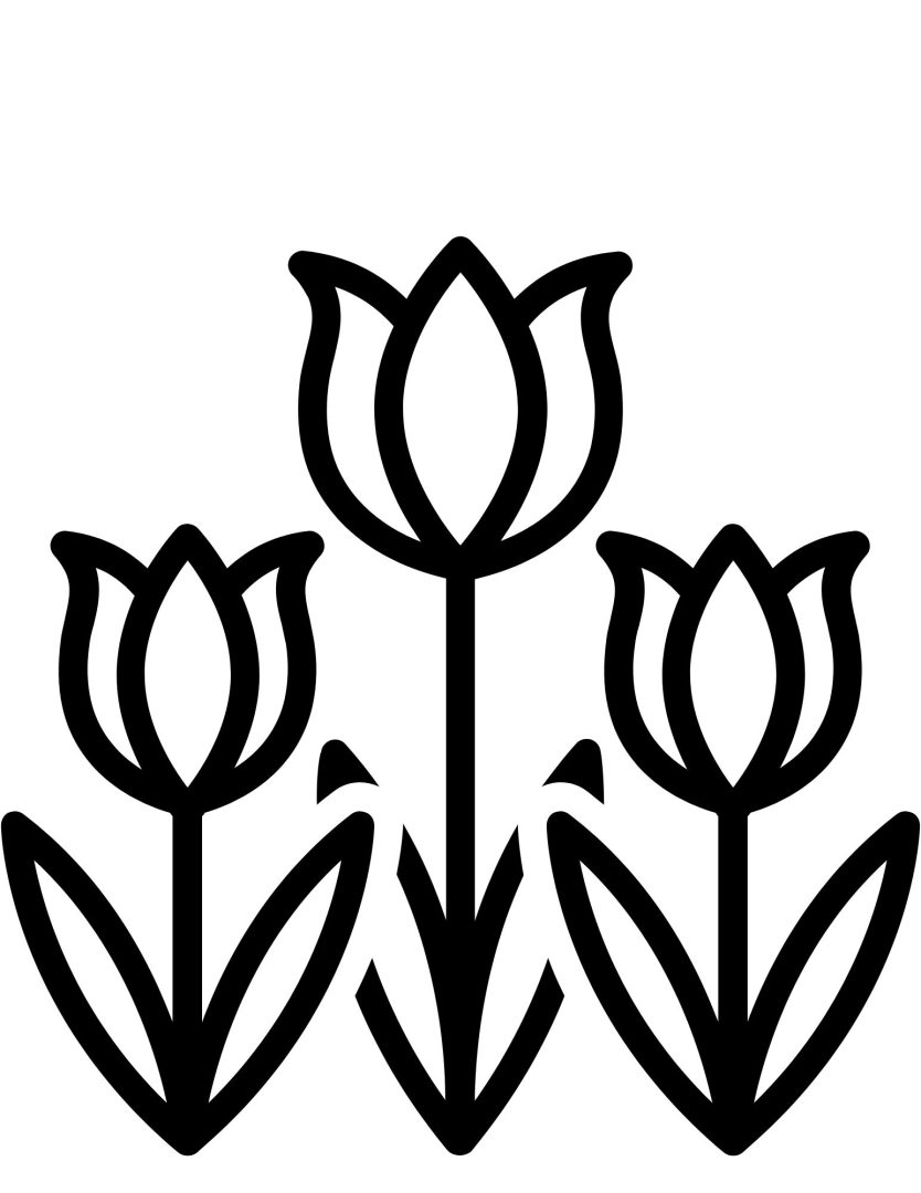 Free Tulip Coloring Pages To Celebrate Spring