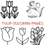 Free Tulip Coloring Pages To Celebrate Spring