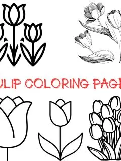 Free Printable Daffodils Coloring Pages
