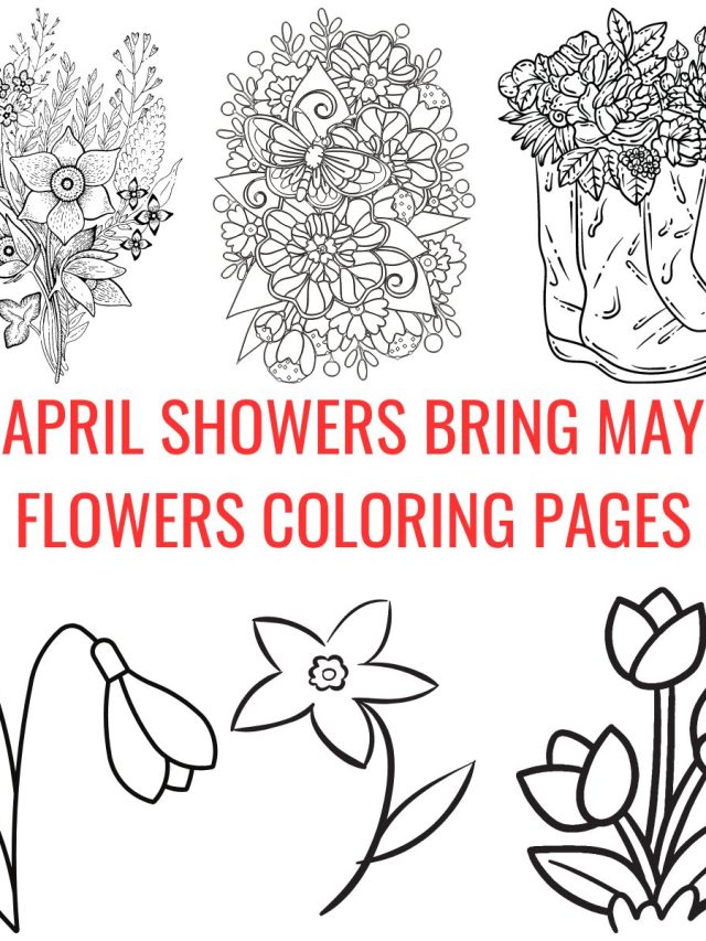 Free Daisy Flower Coloring Pages