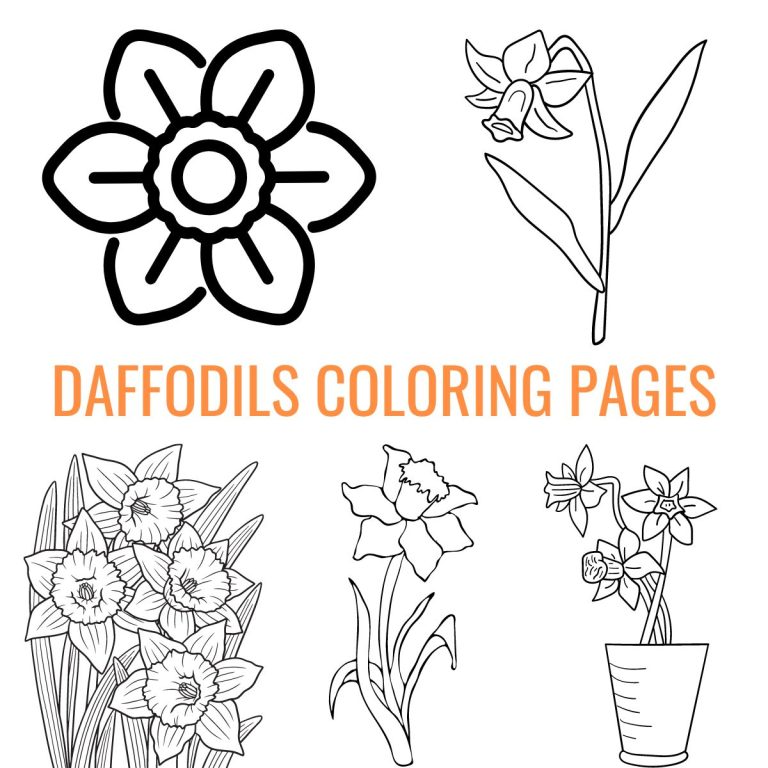 Free Printable Daffodils Coloring Pages