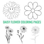 Free Daisy Flower Coloring Pages
