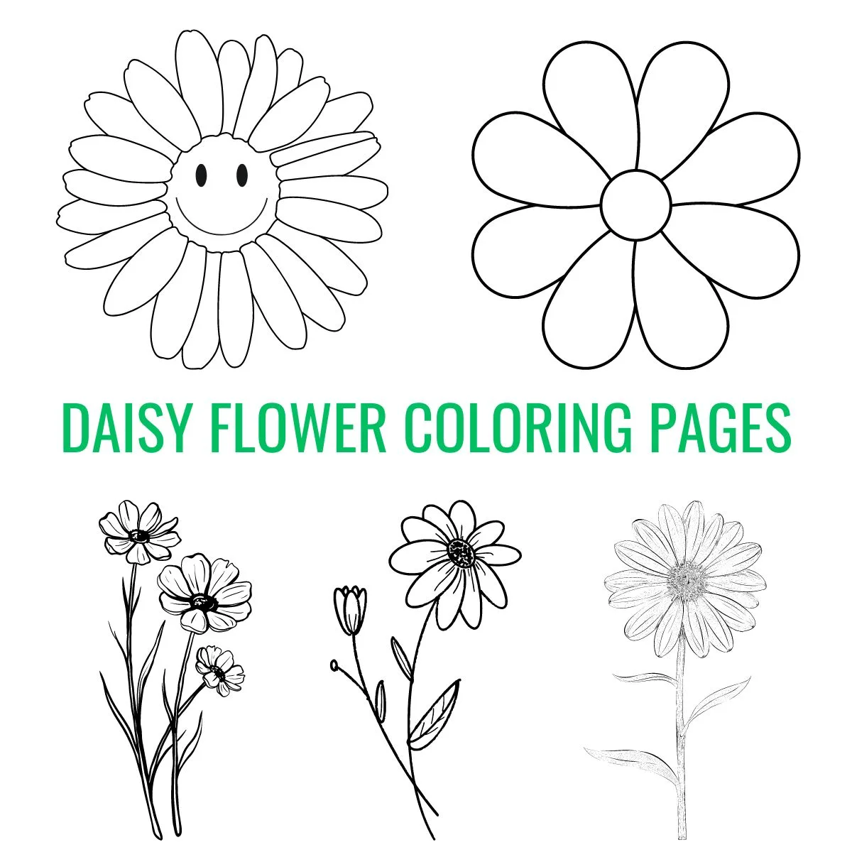 Daisy Flower Garden Coloring Pages