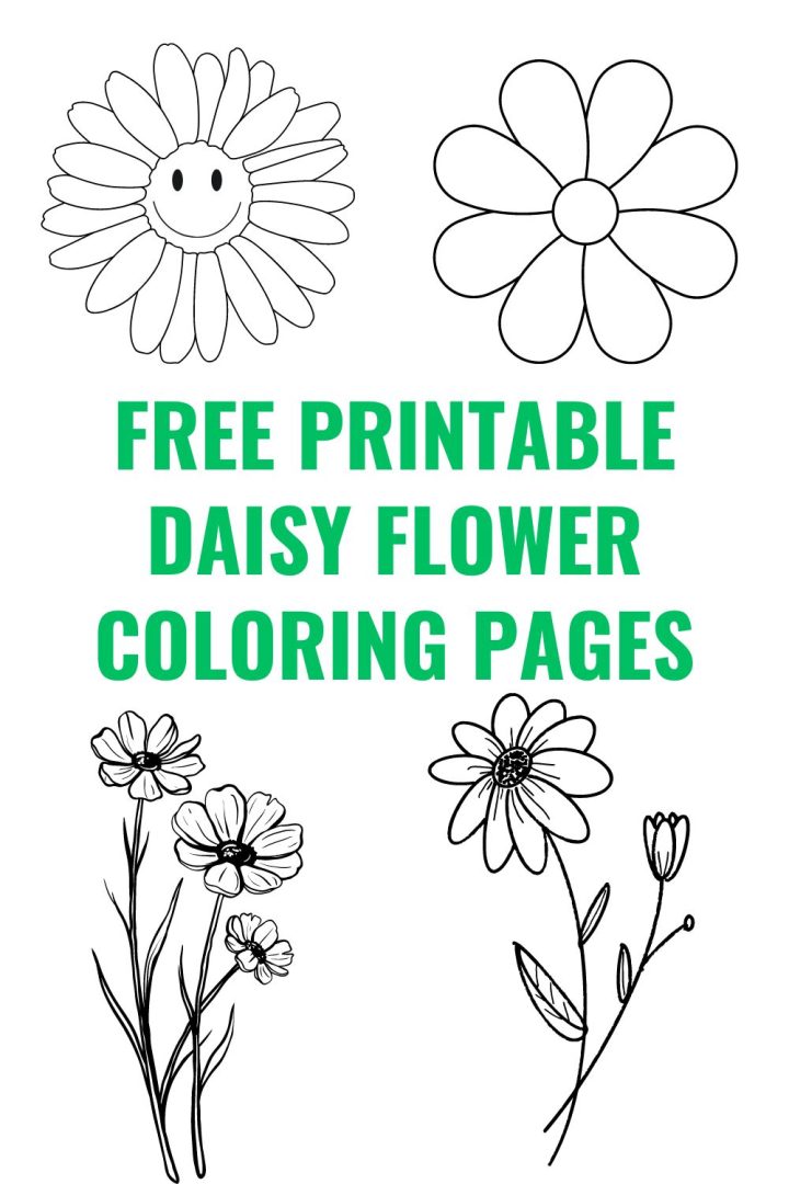 Free Daisy Flower Coloring Pages