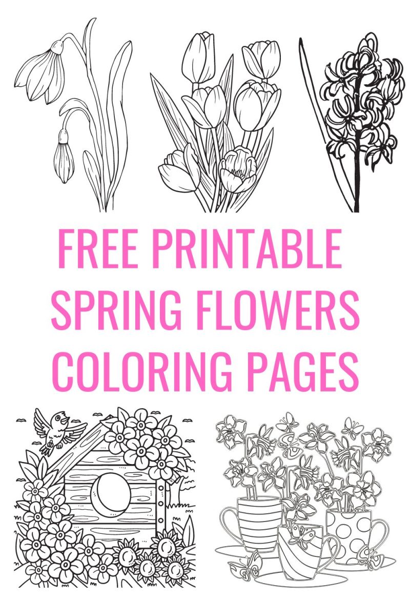 Free Spring Flowers Coloring Pages For Kids And Adults