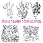 Free Spring Flowers Coloring Pages For Kids And Adults