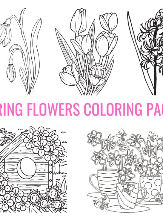 Free Printable Daffodils Coloring Pages