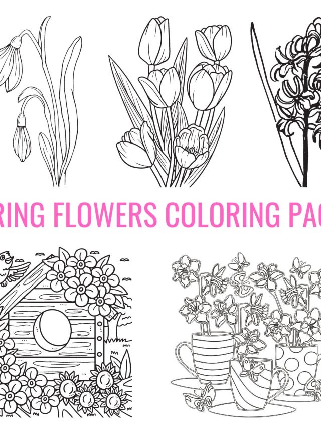 Free Daisy Flower Coloring Pages