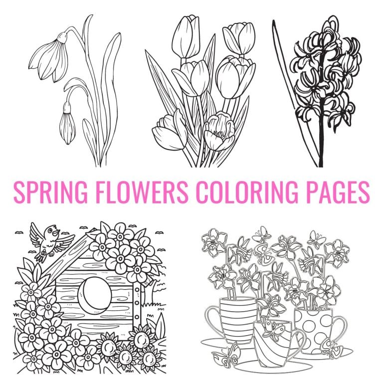 Free Spring Flowers Coloring Pages For Kids And Adults