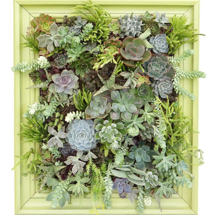 20 Practical Succulent Wall Planters For An Instant Vertical Garden