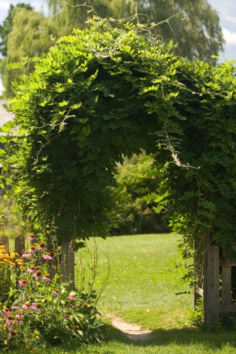 12 Best Garden Arbors & Arches For Any Outdoor Space