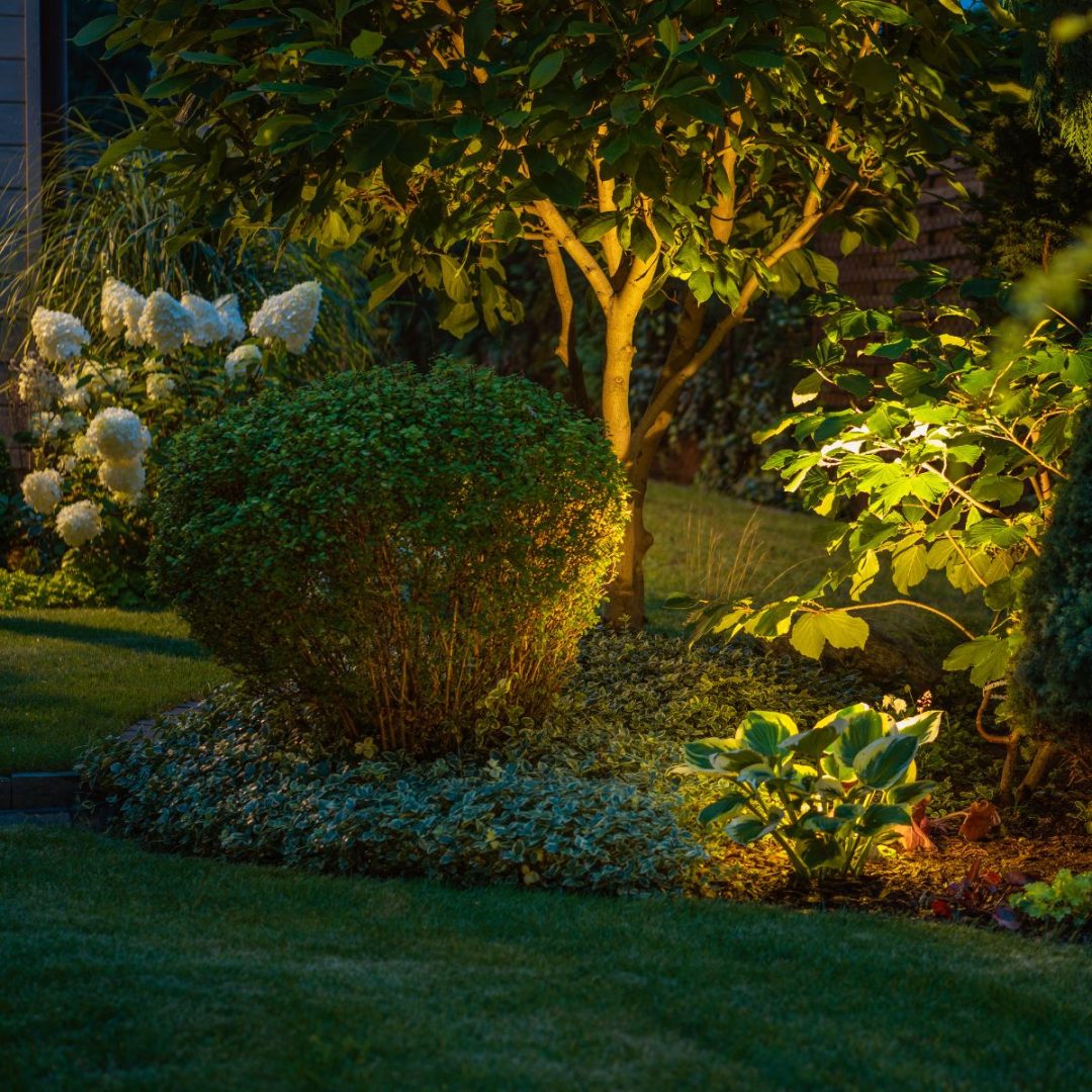 21 Epic Outdoor Garden Lighting Ideas You'll Love