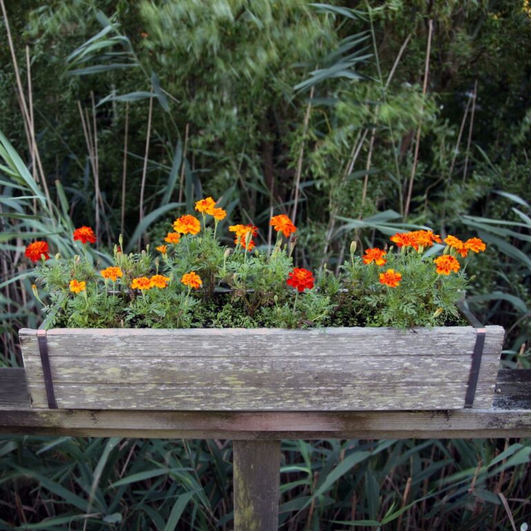25 Unique Outdoor Planter Ideas That Will Revitalize Your Space