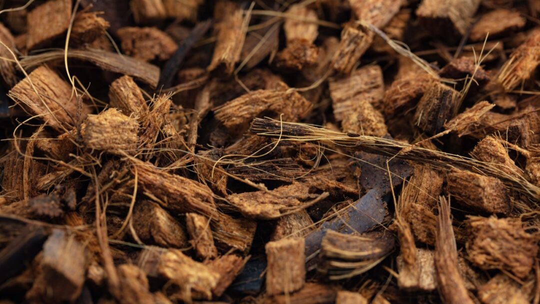 Coconut Coir: What Is It And Ways To Use It