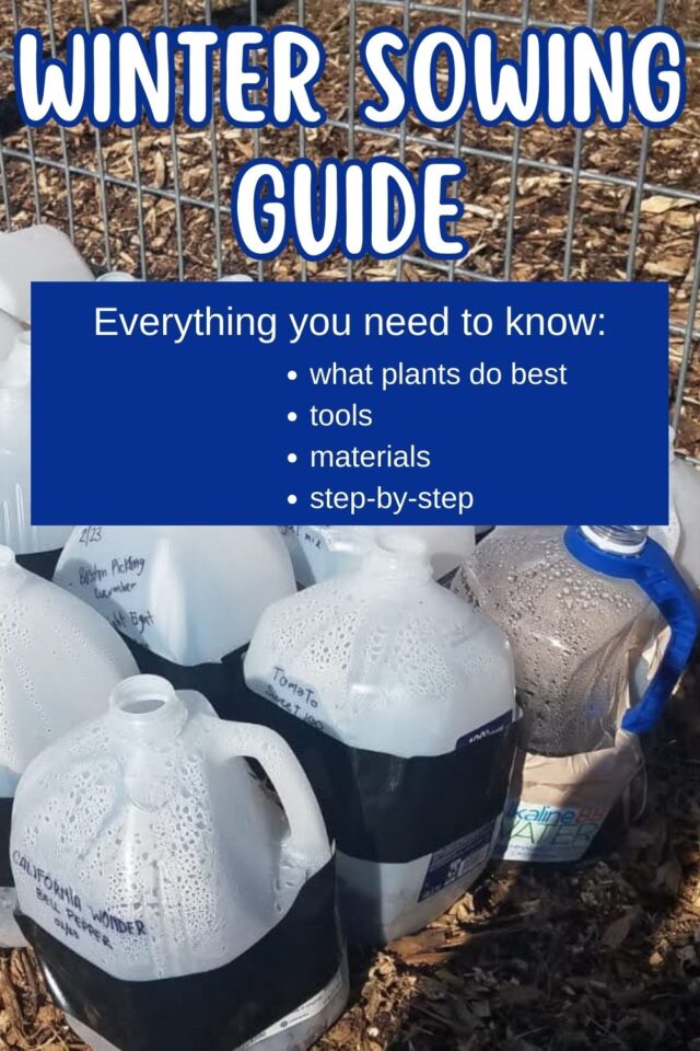 What Is Winter Sowing? A Simple Guide To Jump-Start Your Seed Planting