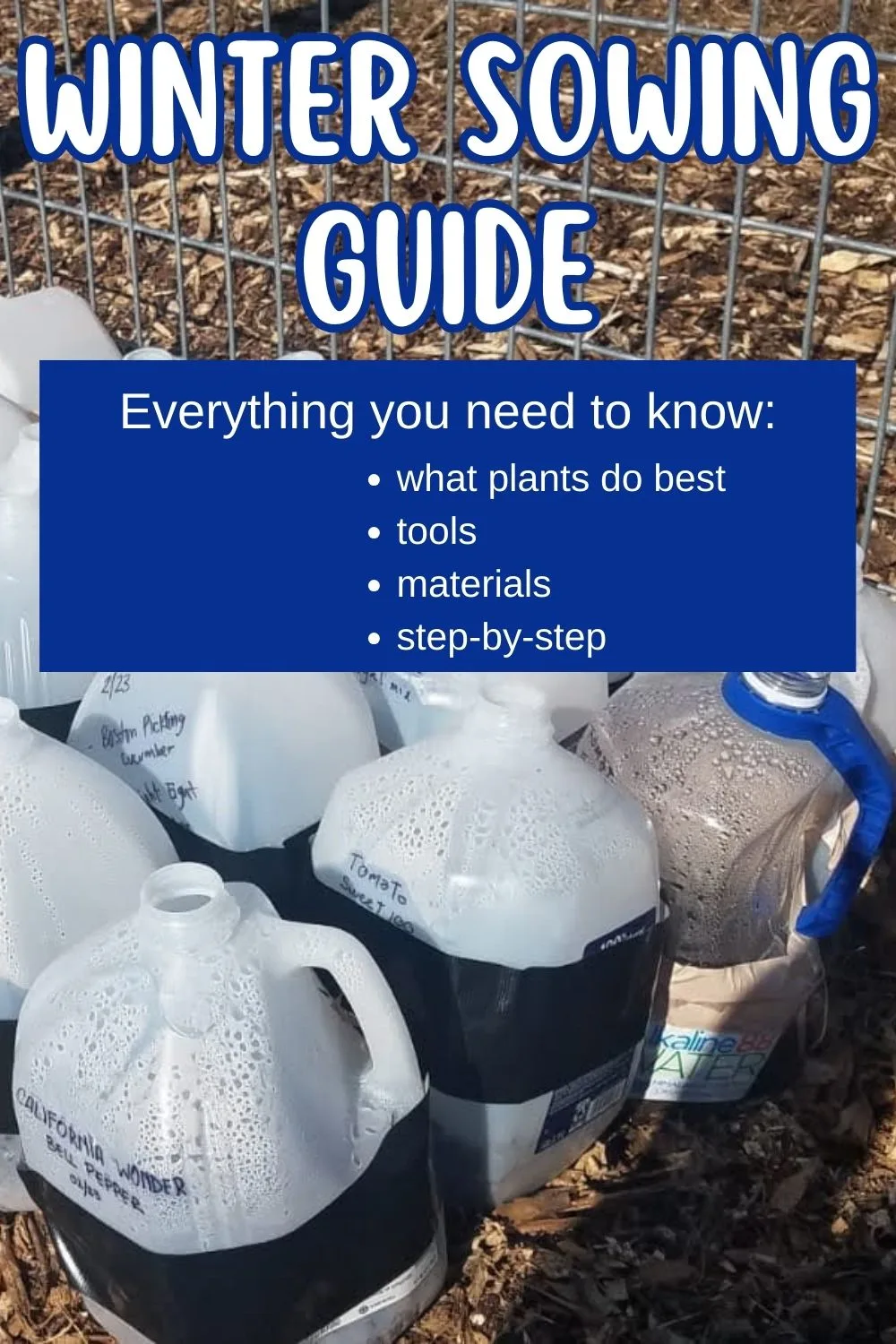 What Is Winter Sowing? A Simple Guide To Jump-Start Your Seed Planting