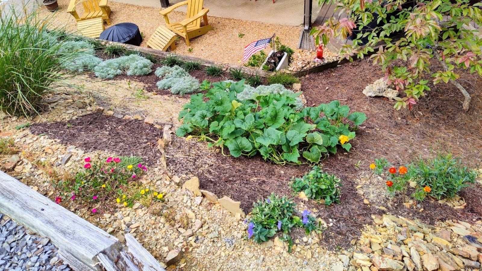 10 Creative Water Conservation Landscaping Ideas For A Greener Yard