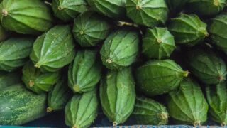 How To Grow Luffa Gourds And Get Natural Sponges